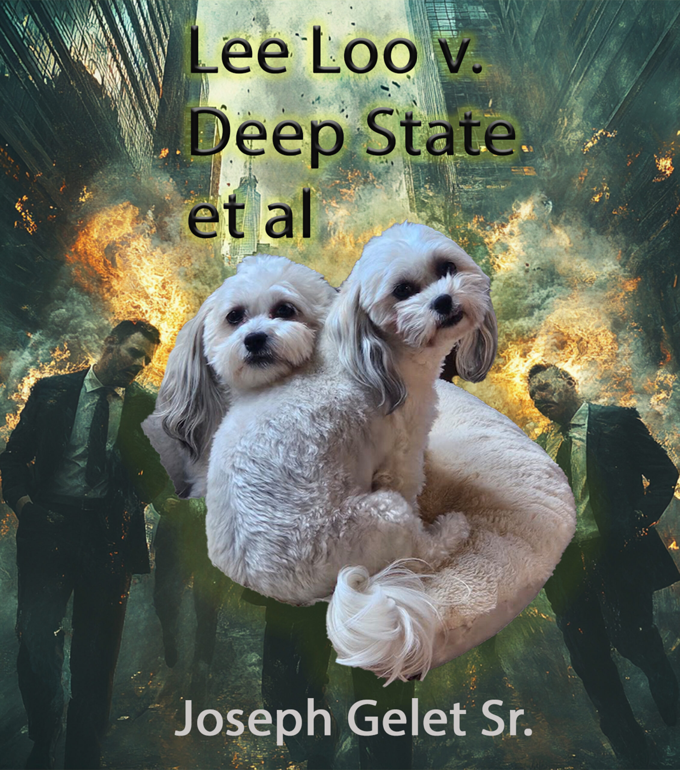 Lee Loo v Deep State Et Al - Unread Page